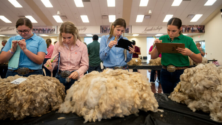 Texas A&M AgriLife Extension Service to Establish Texas 4-H ...
