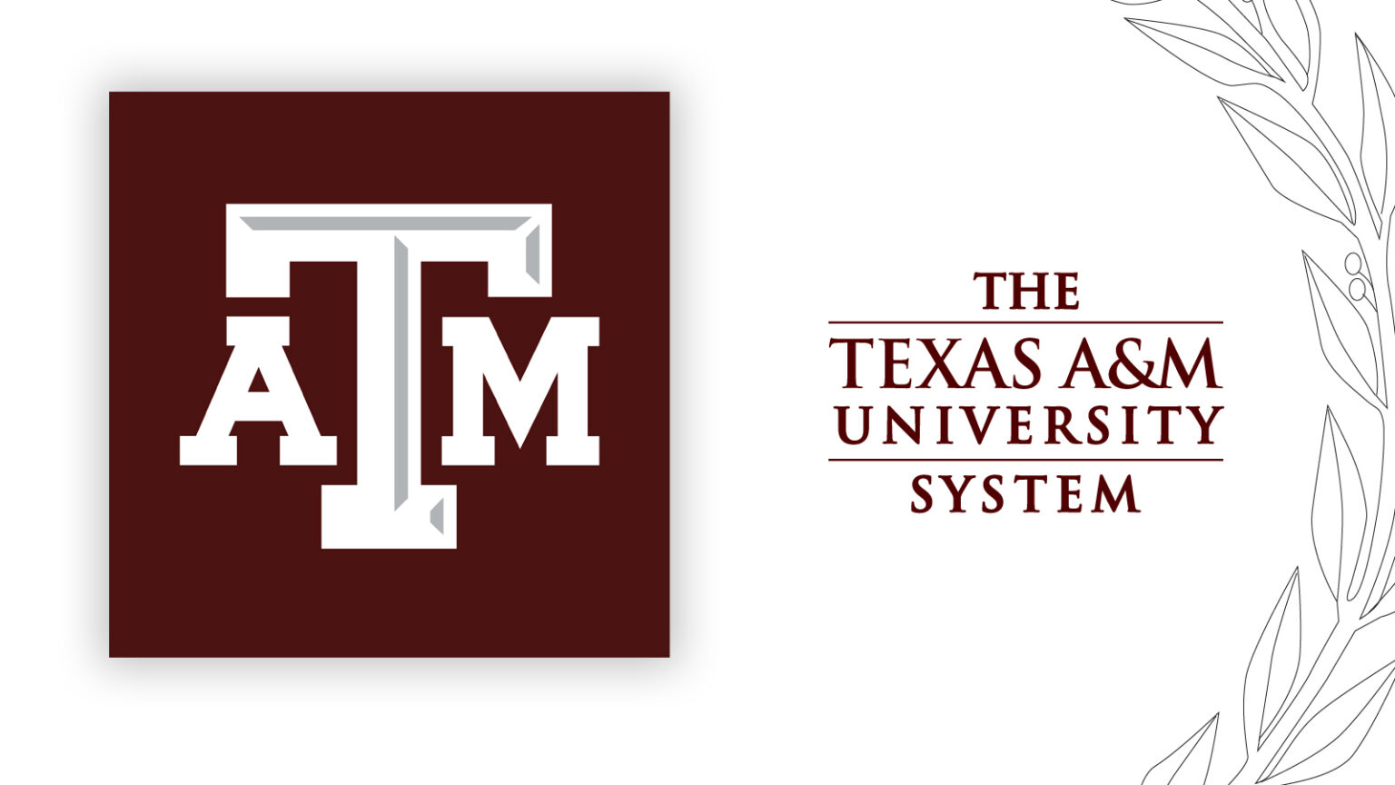 Texas A&M Law Now Ranks In The Top 30 Nationally – A&M System News